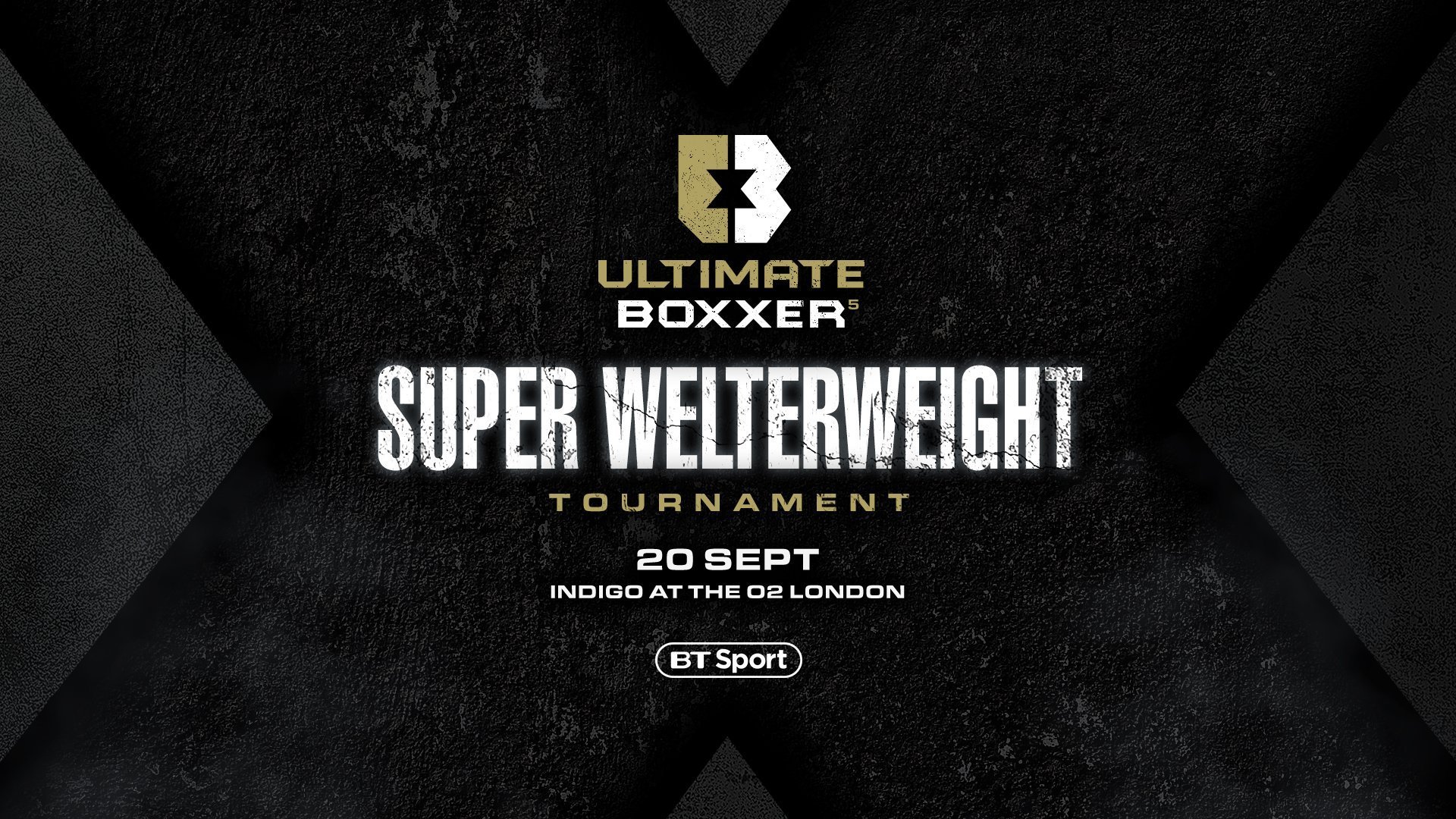 Ultimate Boxxer V Fighters Announced