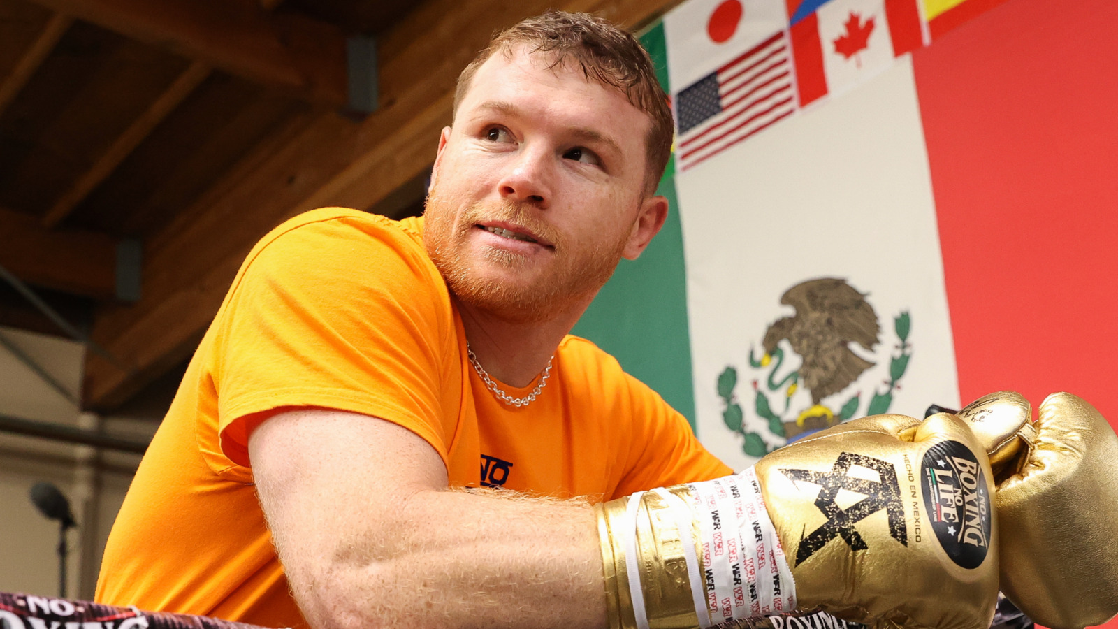 Canelo Says He Could Keep Fighting For Another Seven Years