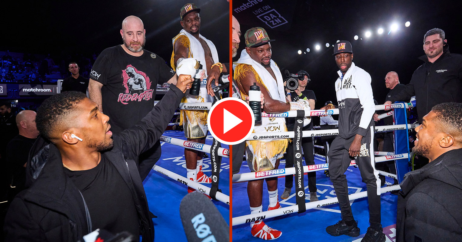 Joshua And Whyte Footage Reveals What Was Actually Said Between Them