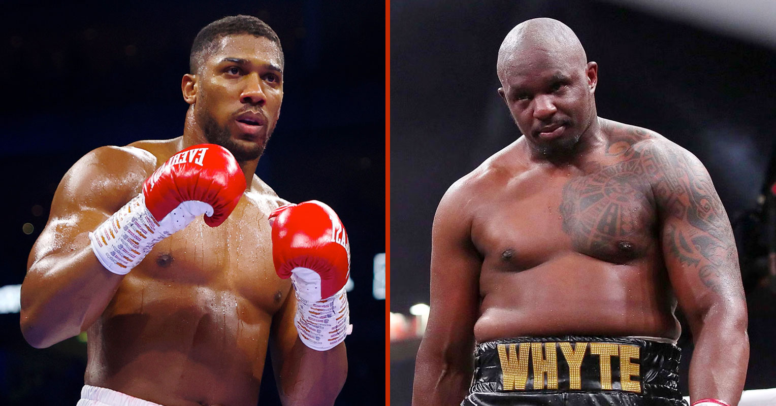 "He's Scared Of His Own Shadow": Carl Froch Brutally Honest On Joshua ...