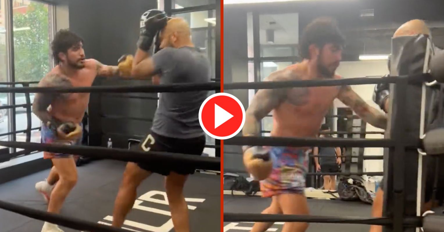 Boxing Fans React To 'Awful' Dillon Danis Sparring Footage