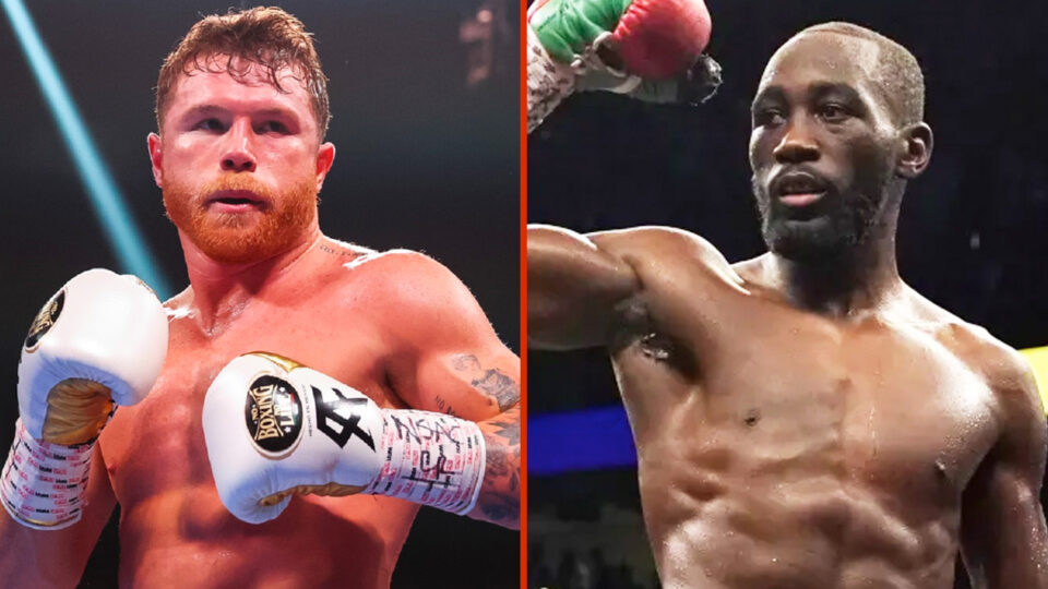 Fighter Who Moved Up Weight And Got KO'd By Canelo Tells Crawford To ...
