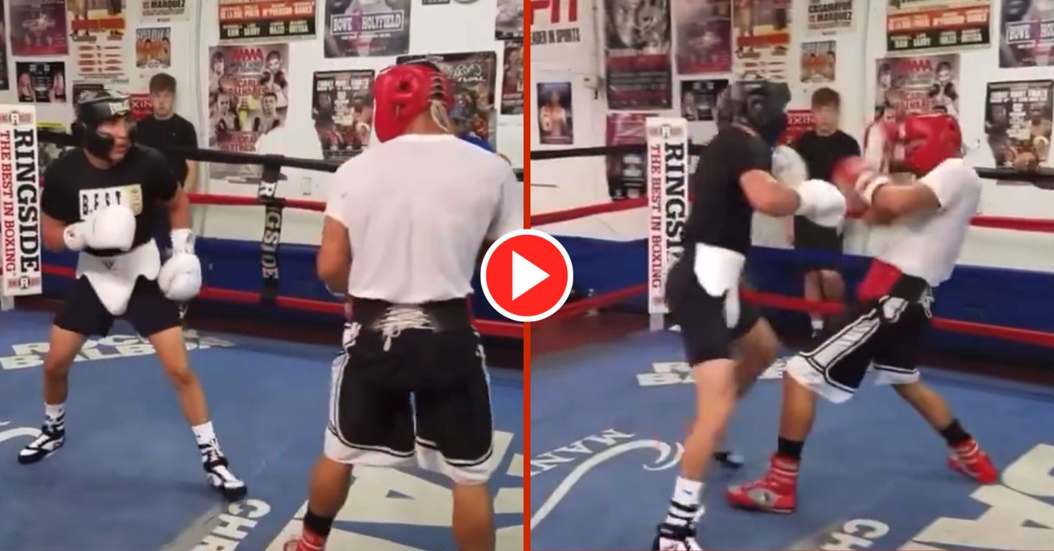 Teofimo Lopez Posts Sparring Clip Against 'Fake Champ': "I'll Handle ...